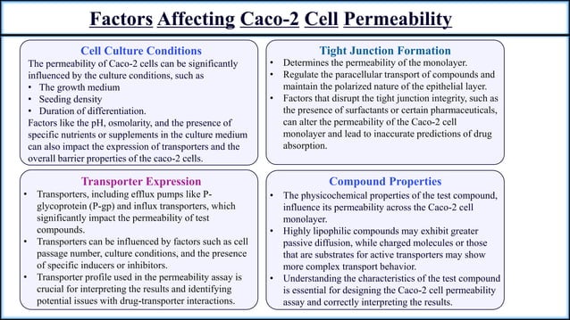Cell permeability assays: caco-2 cell permeability, pampa membrane ...