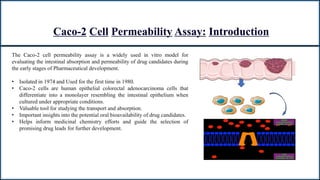 Cell permeability assays: caco-2 cell permeability, pampa membrane ...