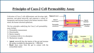 Cell permeability assays: caco-2 cell permeability, pampa membrane ...