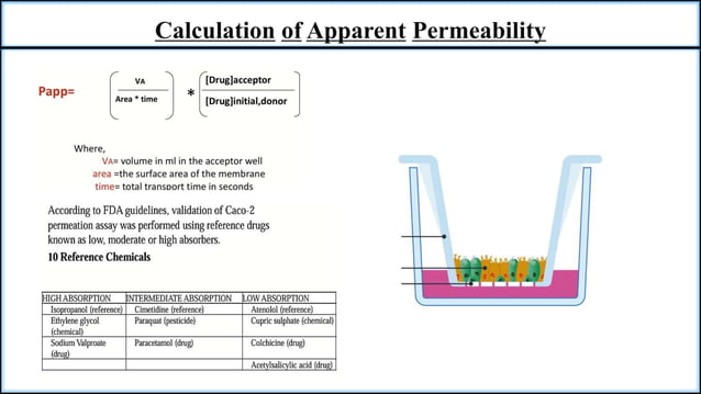 Cell permeability assays: caco-2 cell permeability, pampa membrane ...