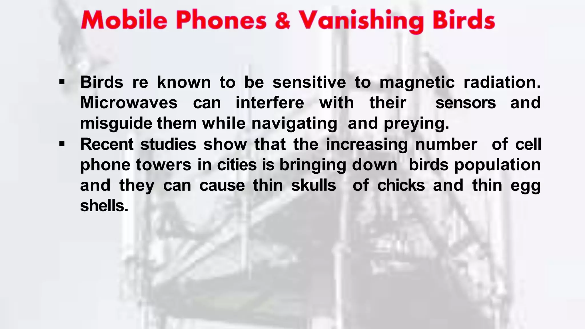 Cell Phone Radiation A Threat To Birds.pptx
