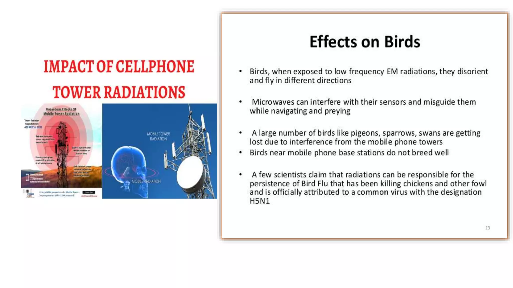 Cell Phone Radiation A Threat To Birds.pptx