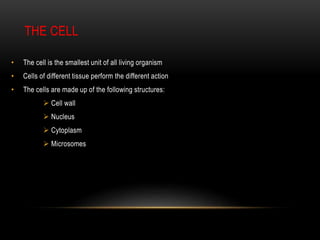 The cell | PPTX