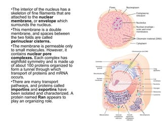 Cell physiology | PPT