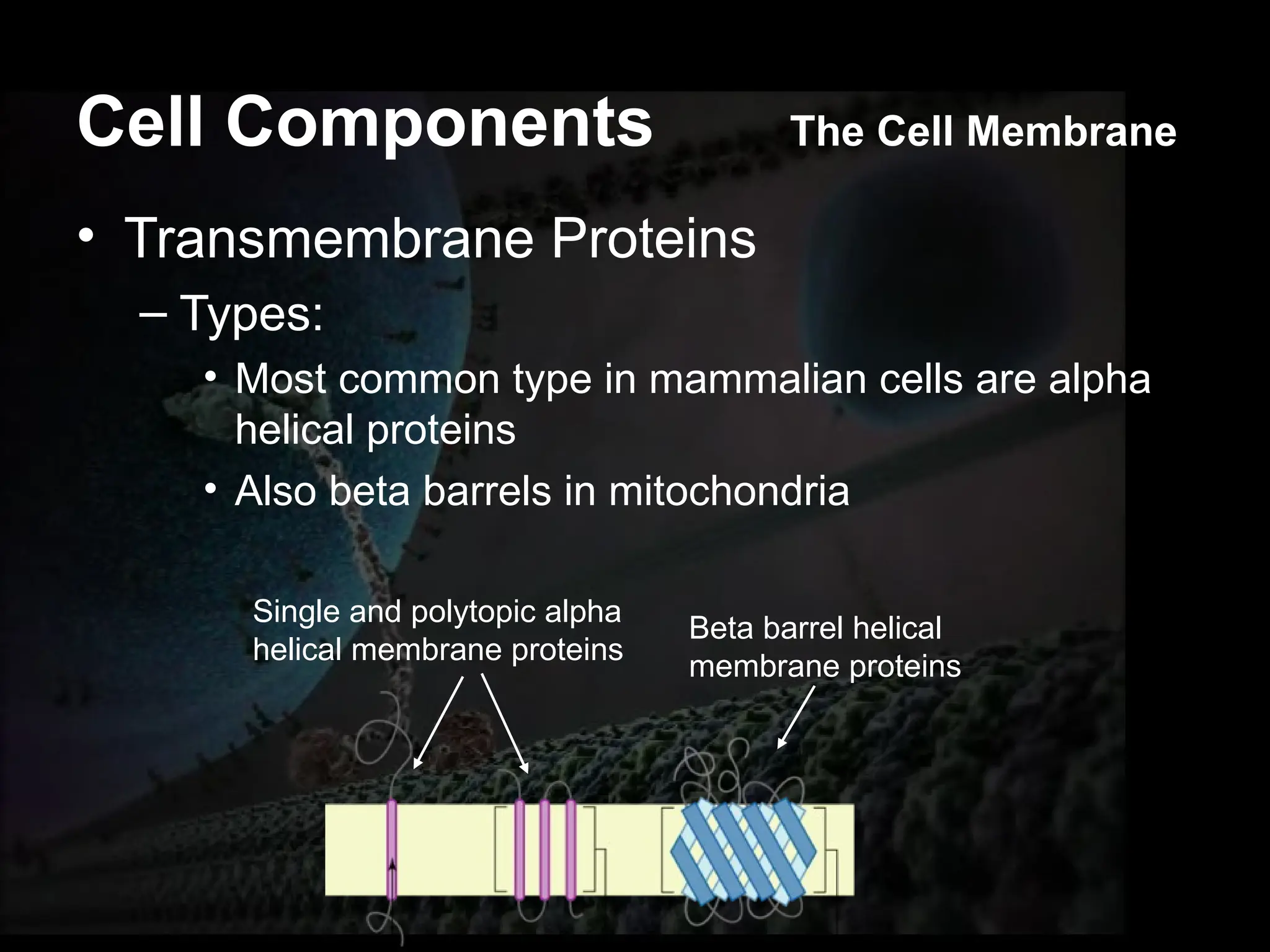 Cell Physiology-1 What is a Cell? A cell is the structural and ...