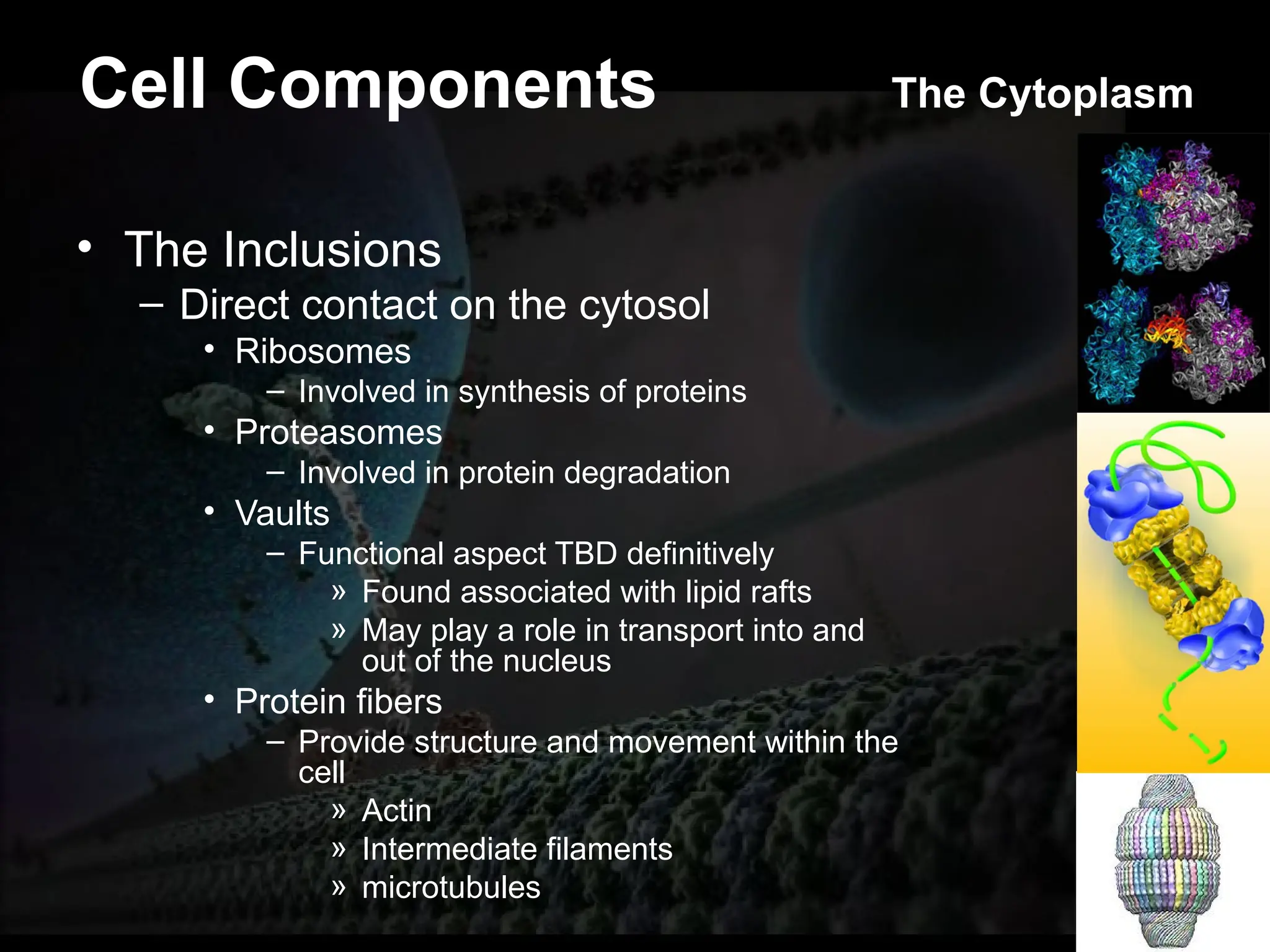 Cell Physiology-1 What is a Cell? A cell is the structural and ...
