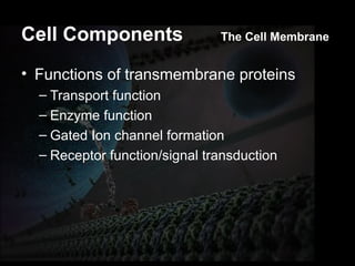 Cell Physiology-1 What is a Cell? A cell is the structural and ...
