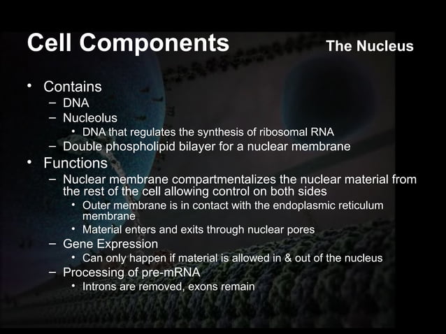 Cell Physiology-1 What is a Cell? A cell is the structural and ...