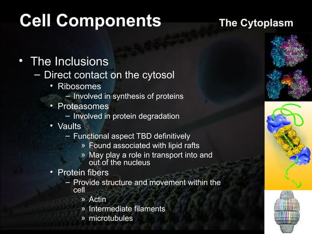 Cell Physiology-1 What is a Cell? A cell is the structural and ...