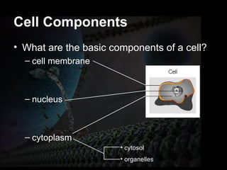 Cell Physiology-1 What is a Cell? A cell is the structural and ...