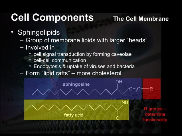 Cell Physiology-1 What is a Cell? A cell is the structural and ...