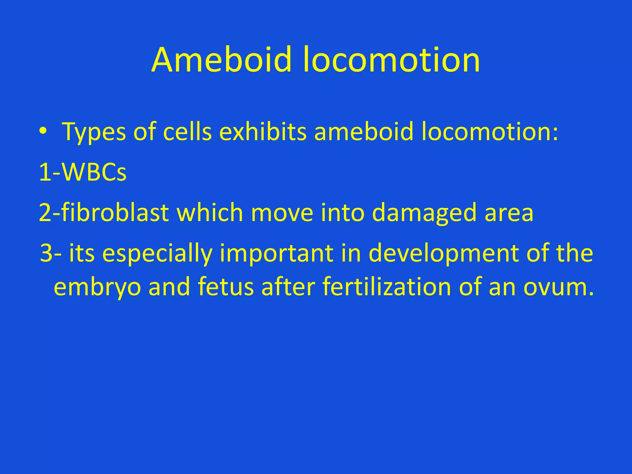 Cell physiology | PPTX