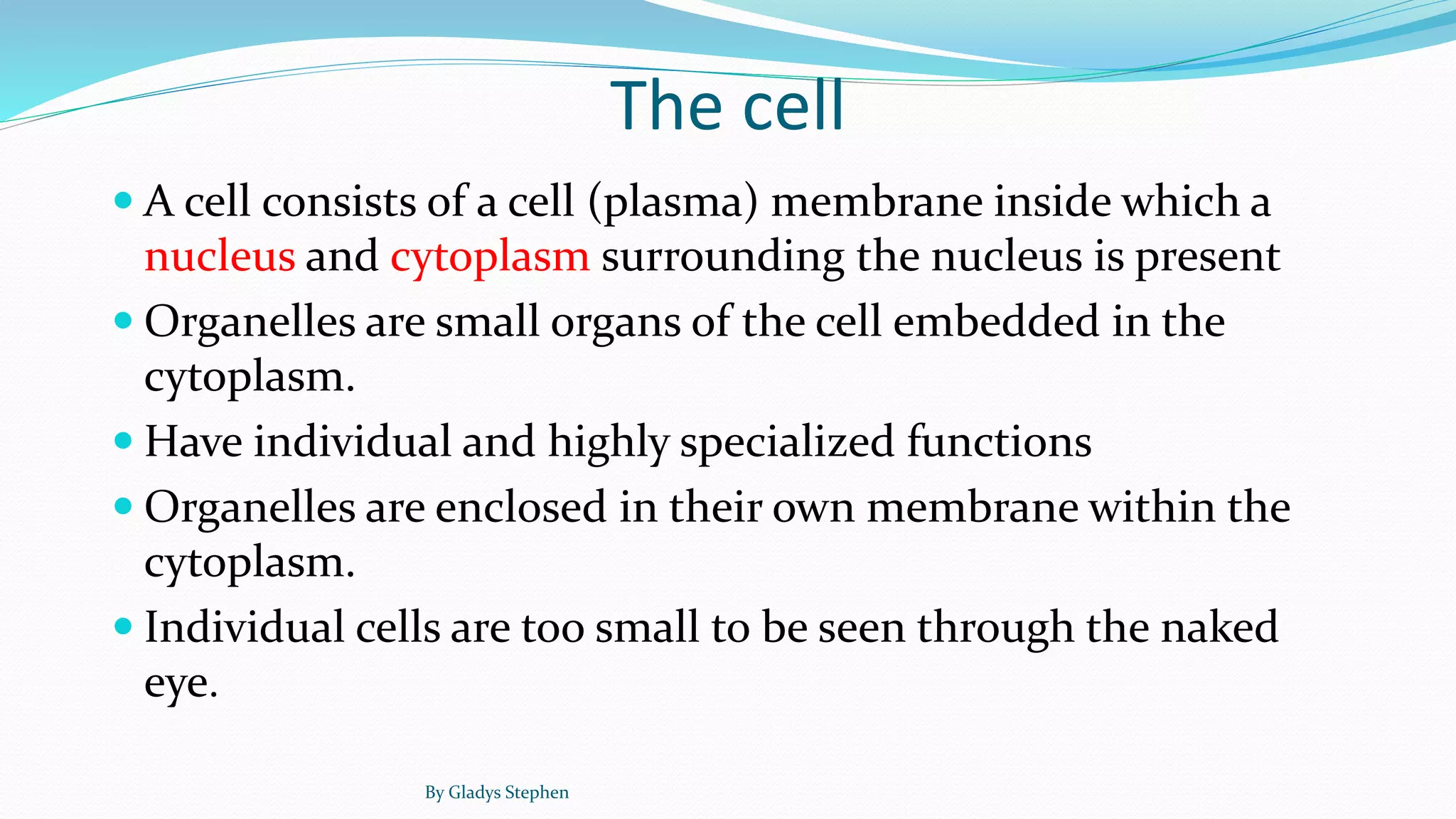 Cell physiology | PPTX