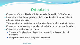 Cell physiology | PPTX