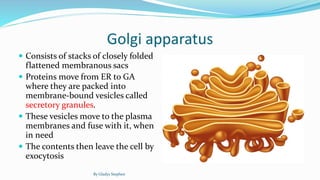 Cell physiology | PPTX