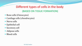 Cell physiology | PPTX