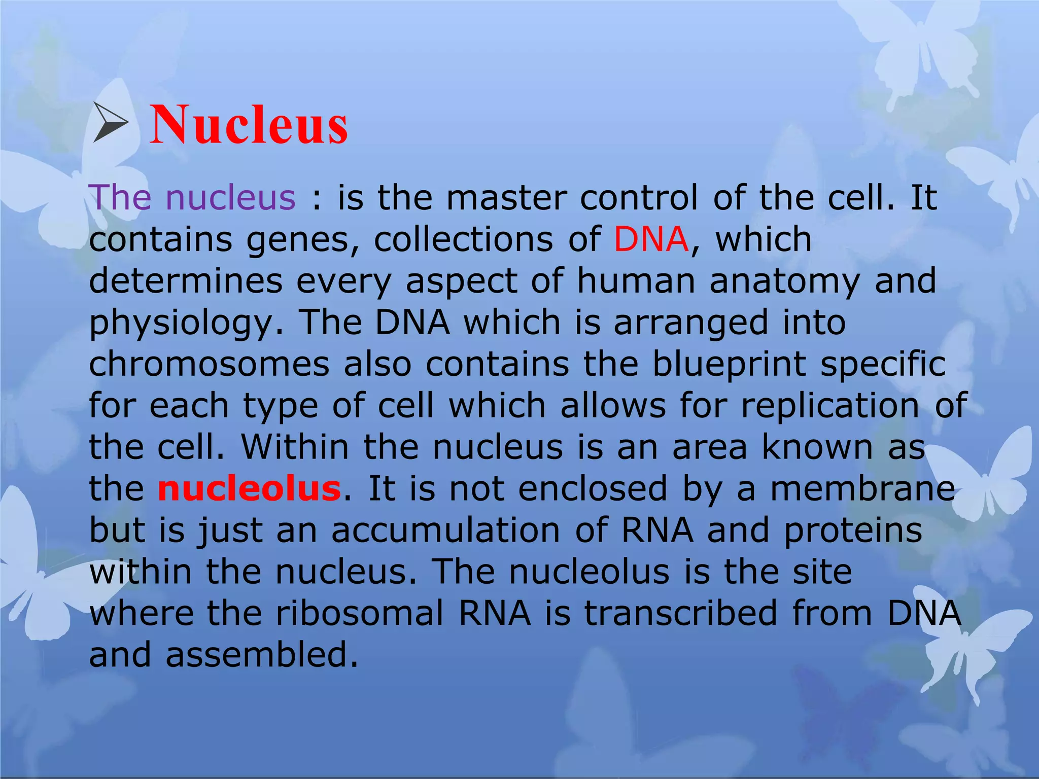 cell physiology.pptx