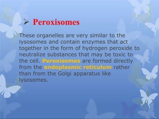 cell physiology.pptx