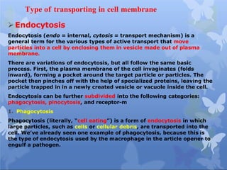 cell physiology.pptx