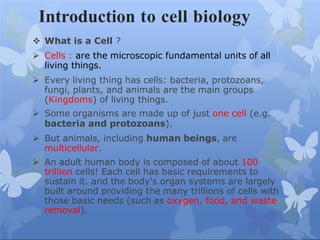 cell physiology.pptx