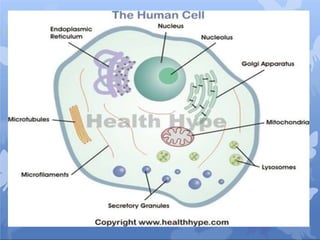 cell physiology.pptx