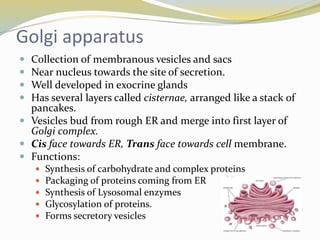 cell physiology.pptx