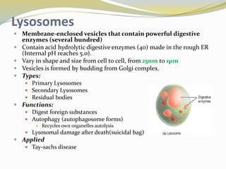 cell physiology.pptx