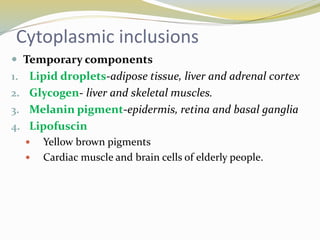 cell physiology.pptx
