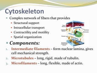 cell physiology.pptx