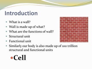 cell physiology.pptx
