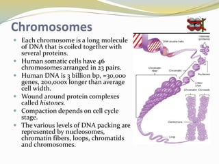 cell physiology.pptx