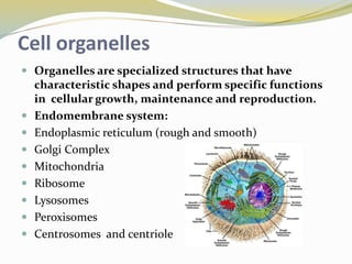cell physiology.pptx