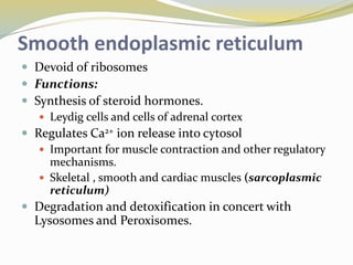 cell physiology.pptx