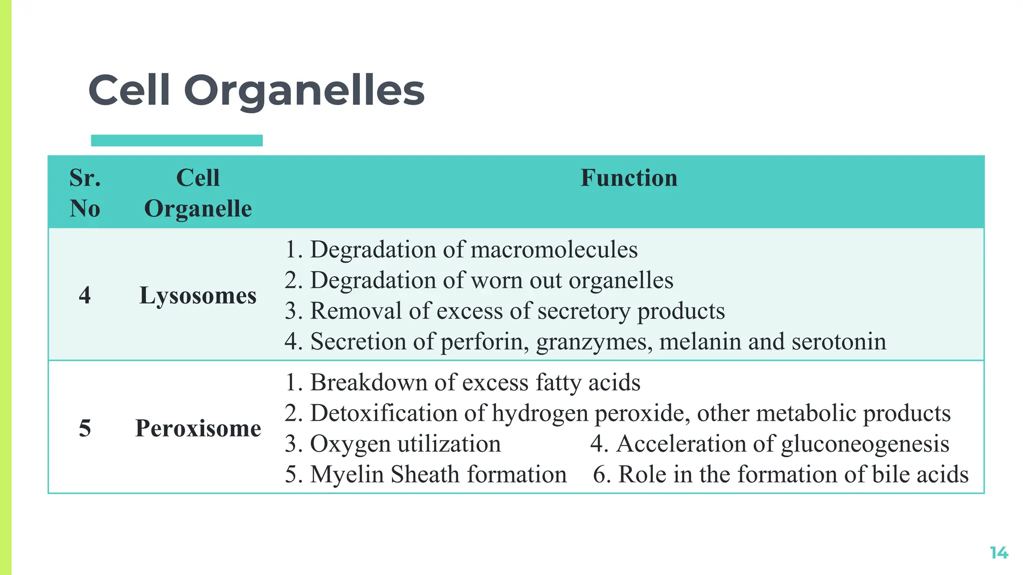 INTRODUCTION TO BASICS OF HUMAN CELL PHYSIOLOGY | PPTX