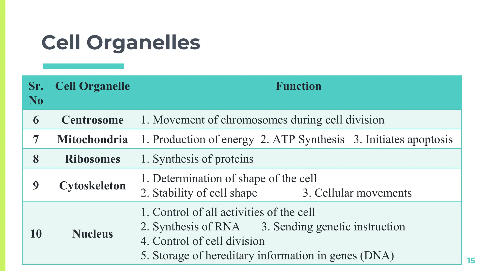 INTRODUCTION TO BASICS OF HUMAN CELL PHYSIOLOGY | PPTX
