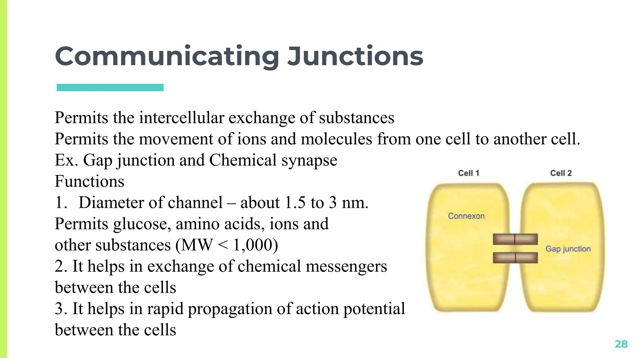 INTRODUCTION TO BASICS OF HUMAN CELL PHYSIOLOGY | PPTX