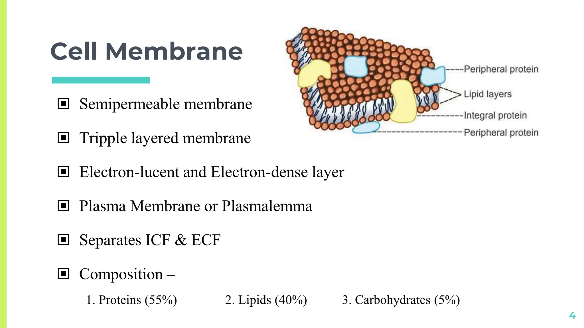 INTRODUCTION TO BASICS OF HUMAN CELL PHYSIOLOGY | PPTX