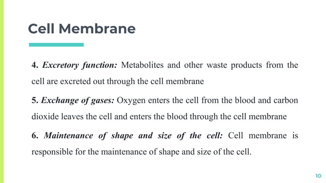 INTRODUCTION TO BASICS OF HUMAN CELL PHYSIOLOGY | PPTX