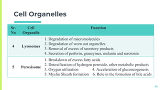 INTRODUCTION TO BASICS OF HUMAN CELL PHYSIOLOGY | PPTX