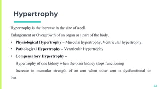 INTRODUCTION TO BASICS OF HUMAN CELL PHYSIOLOGY | PPTX