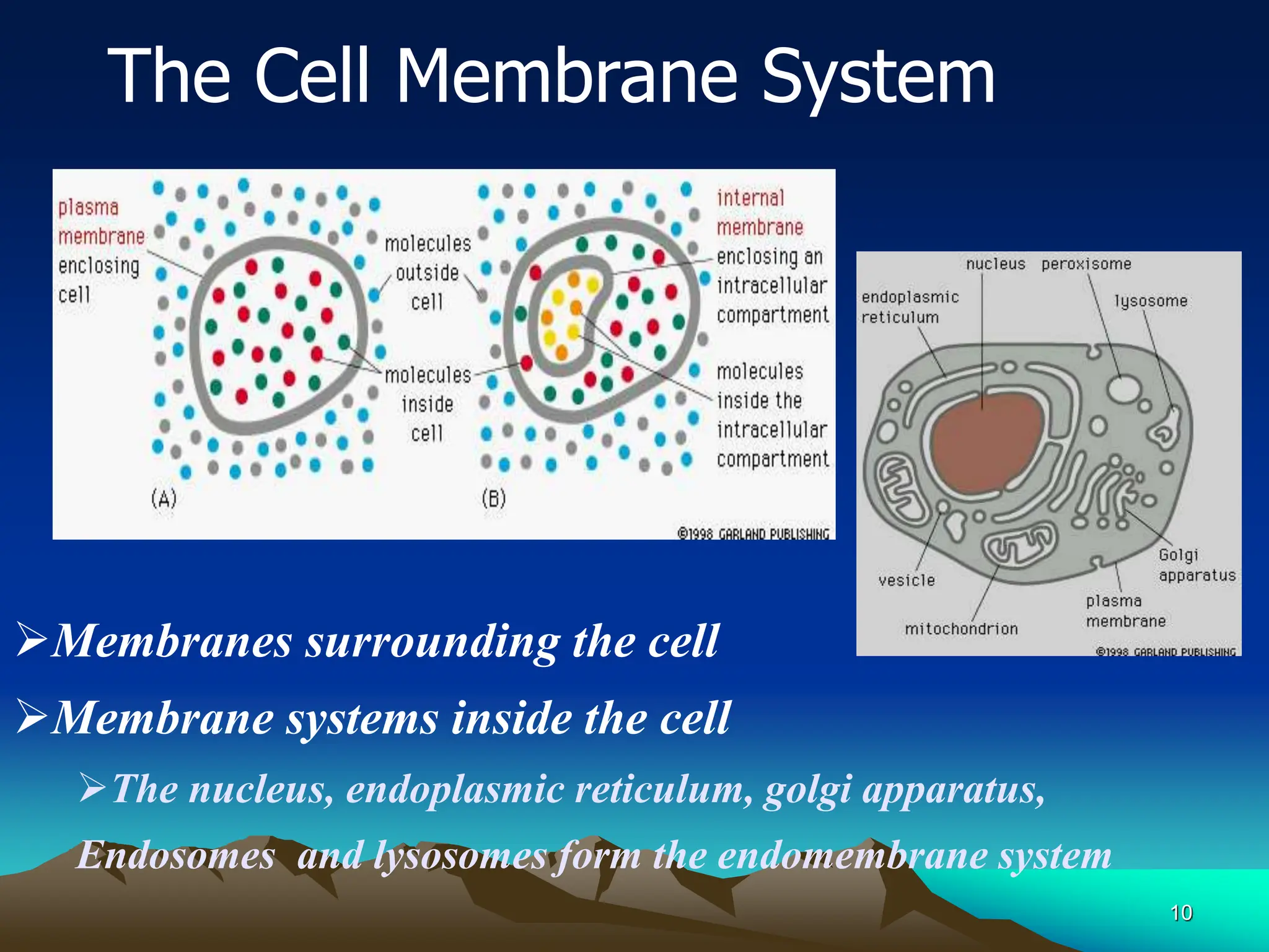 general physiology for pharmacy students cell physiology | PPT
