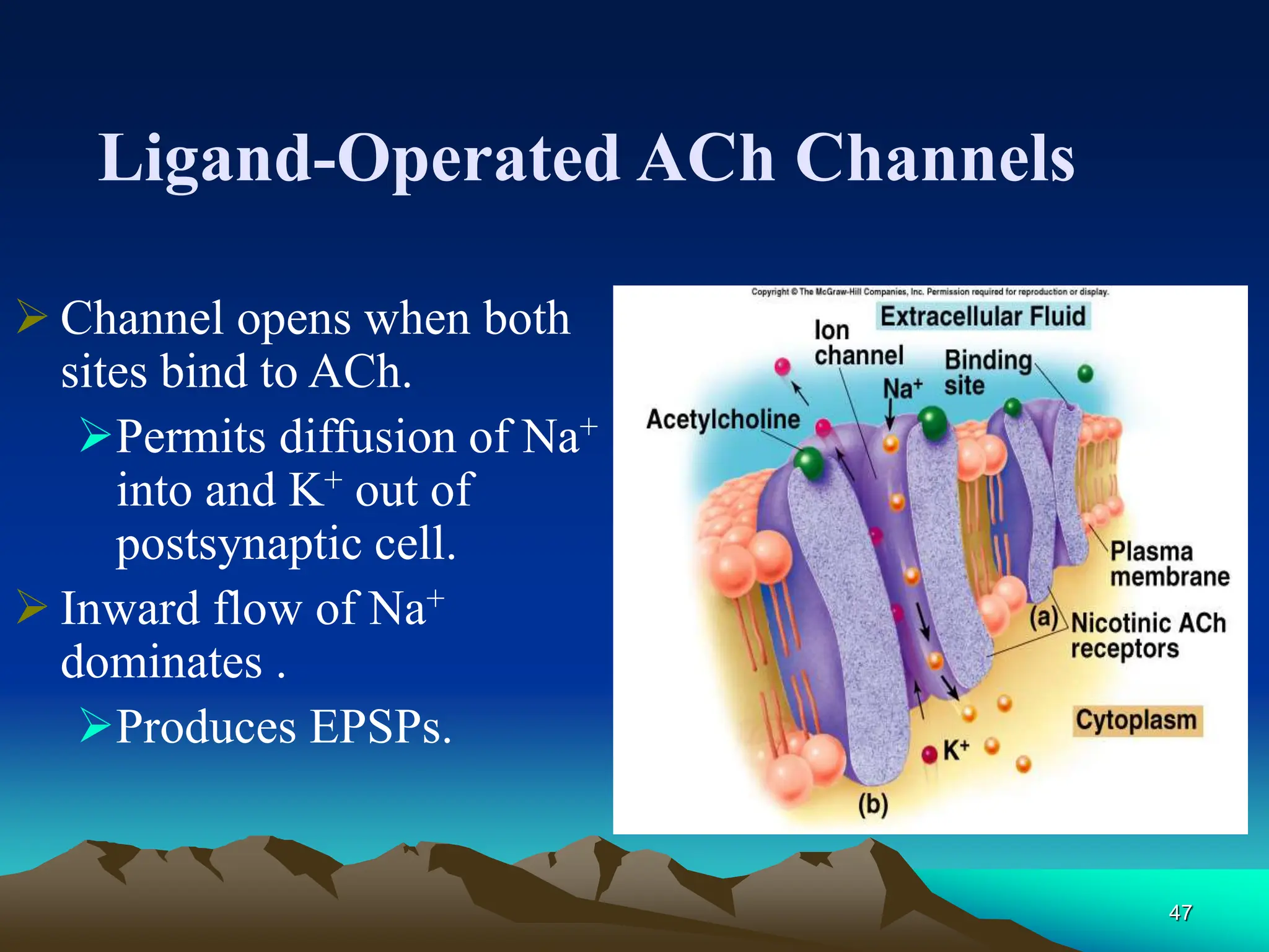 general physiology for pharmacy students cell physiology | PPT
