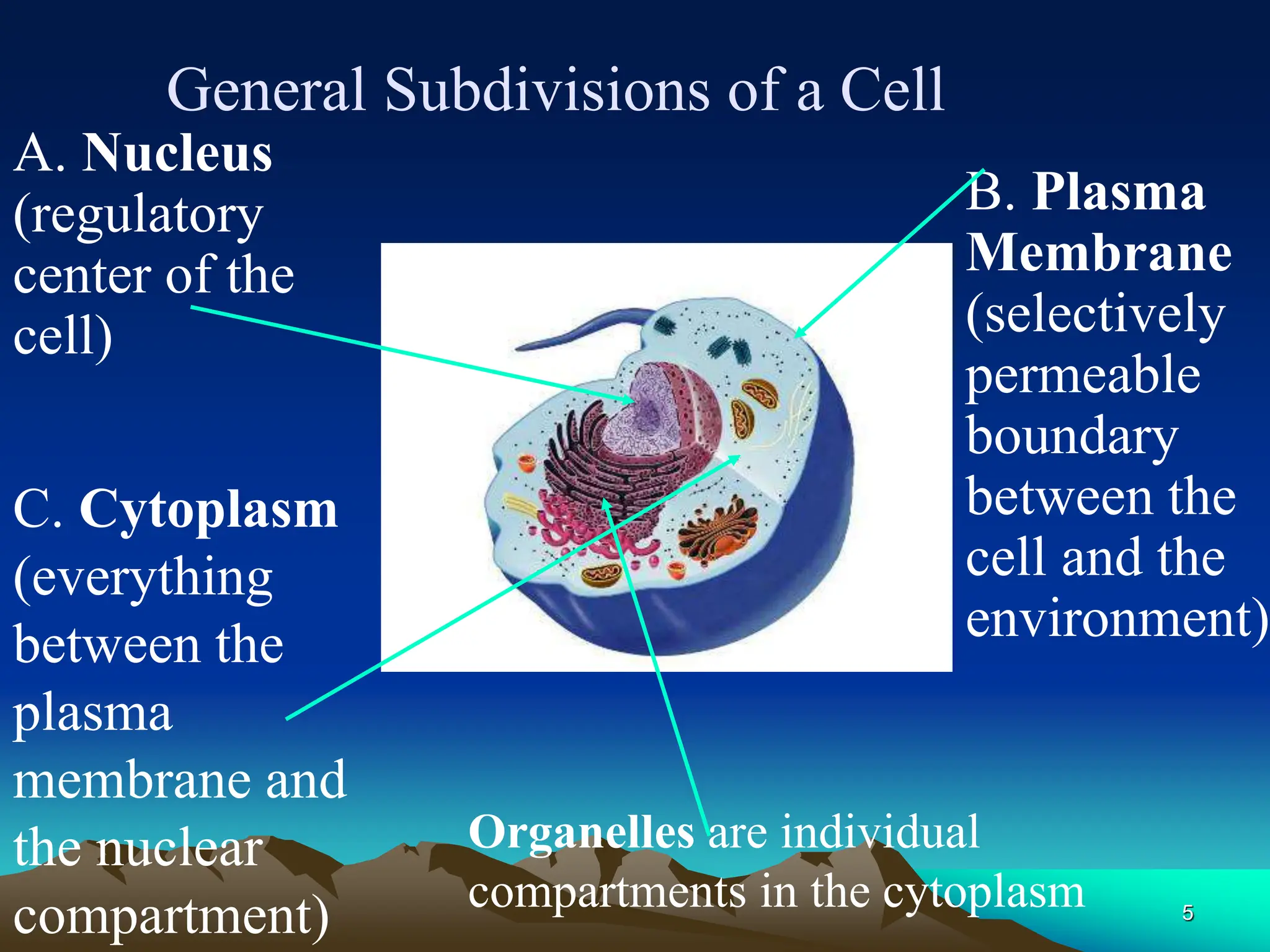 general physiology for pharmacy students cell physiology | PPT