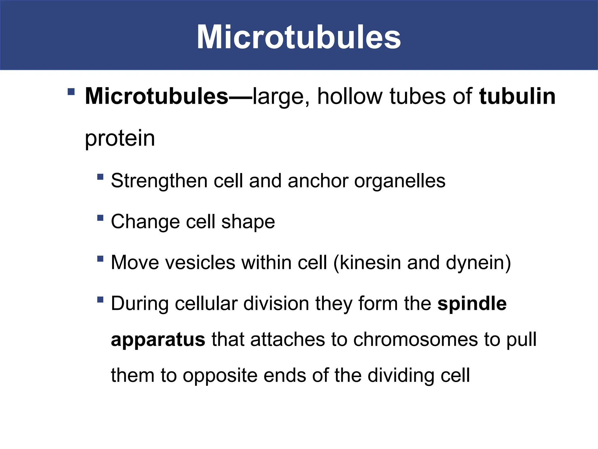 CELL PHYSIOLOGY.ppt..................... | PPT