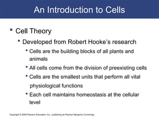 CELL PHYSIOLOGY.ppt..................... | PPT