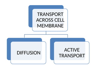 CELLULAR FLUIDS AND TRANSPORT- CELL PHYSIOLOGY.pptx