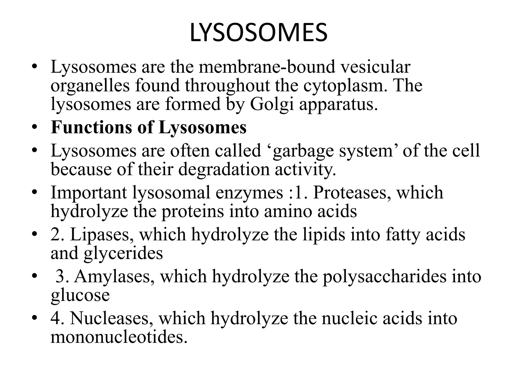 cell physiology 1.pptx