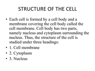 cell physiology 1.pptx