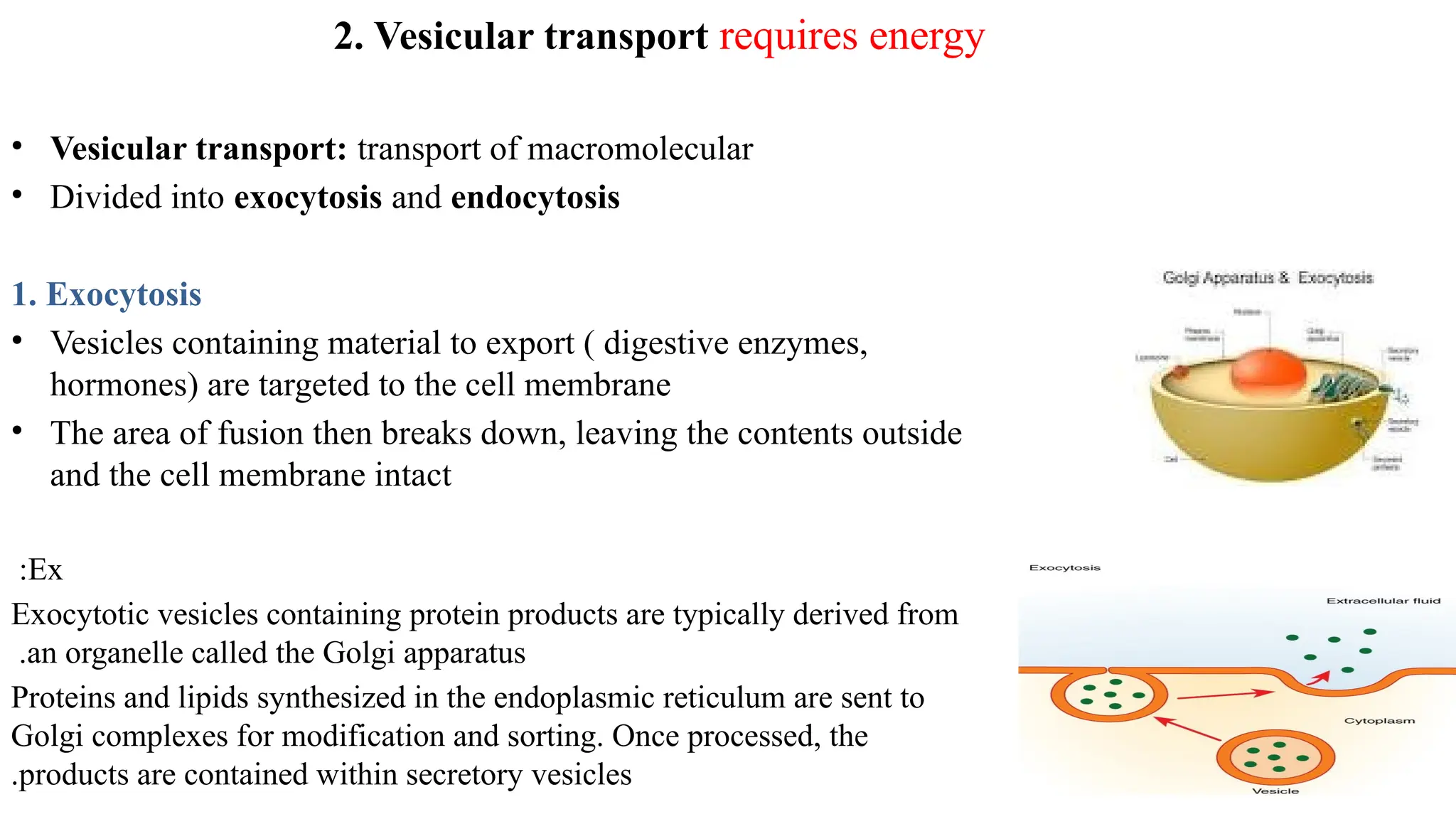 cell physiology 2 +3 (2).pptx LECTURE .MEDICINE | PPTX