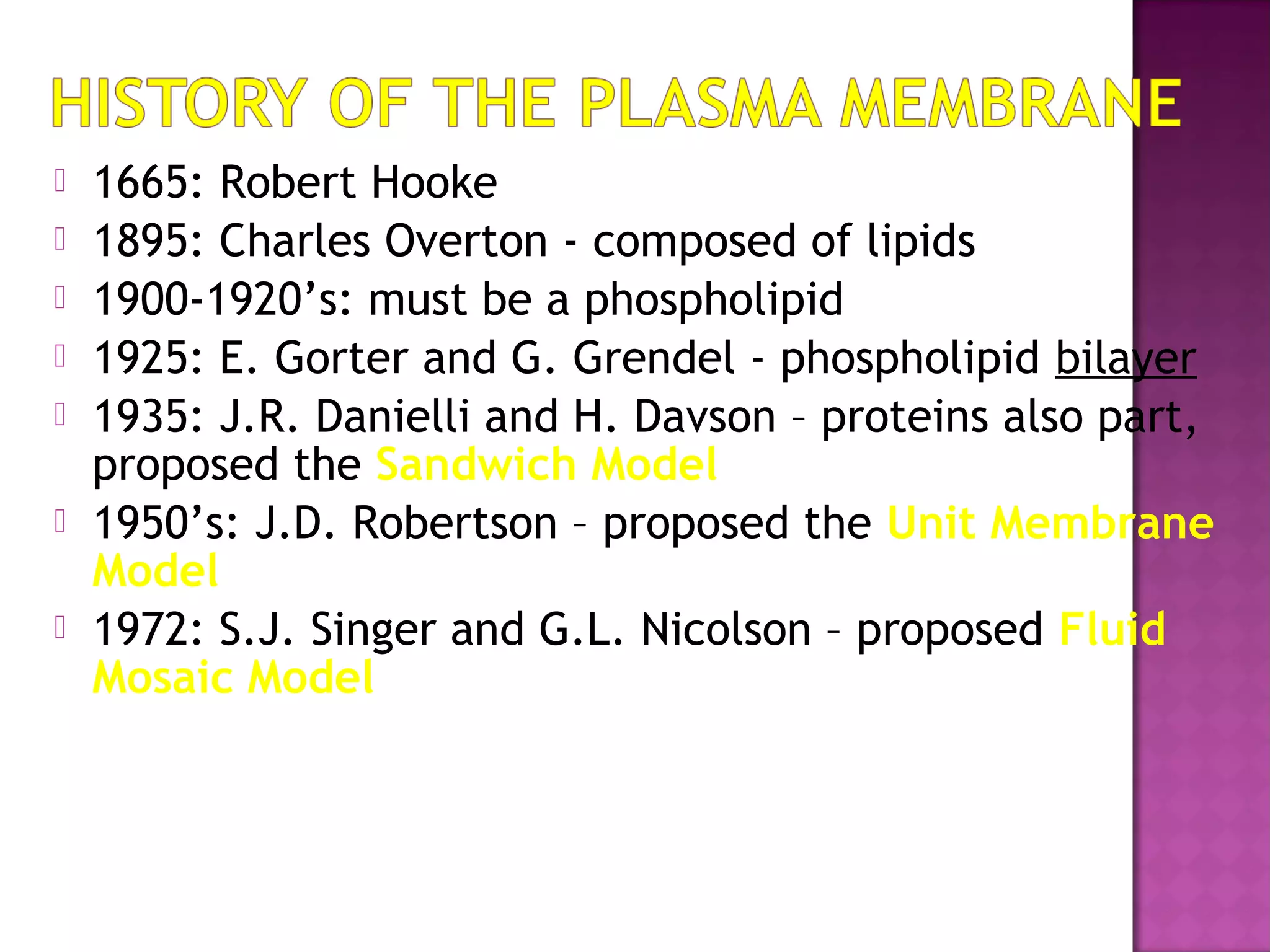 Cell plasma membrane | PPT